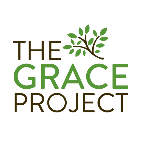 The GRACE Project - Intersect for Ability